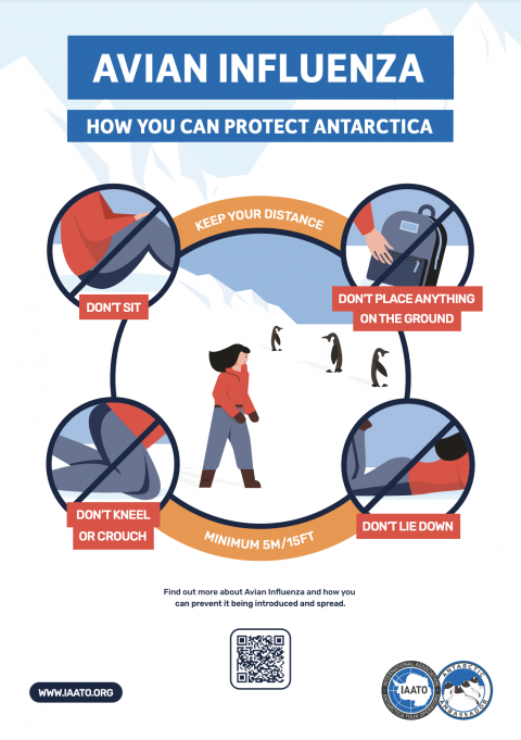 IAATO Guidelines - Antarctica7- How to interact with wildlife