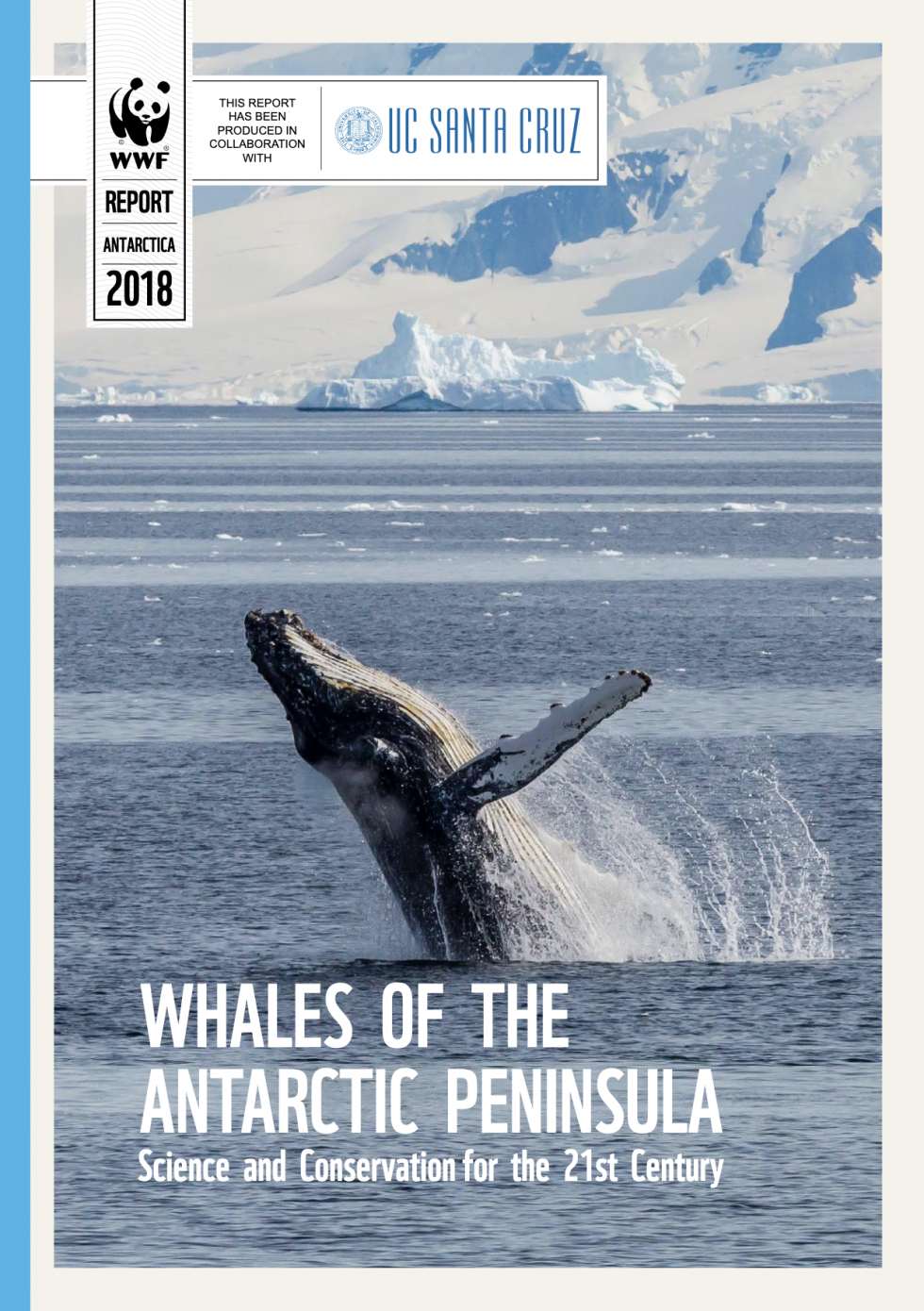 Whales of Antarctica - Antarctica7 - Know your whales